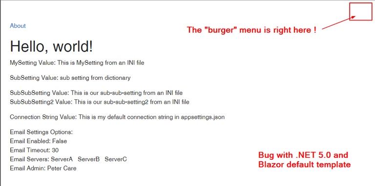 Blazor - Default Template with .NET 5.0, no menu - LearningKoala